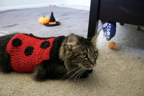 Ravelry: Ladybug Cat Costume pattern by Abbey Jackson