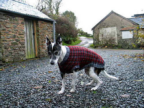 Ravelry: Tartan Classic pattern by Patons