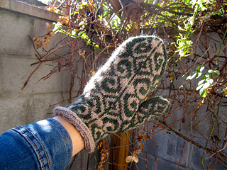 Ravelry: ack's Fiddlehead Mittens
