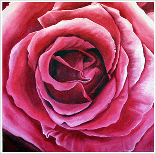 Ravelry: agasi's English Rose