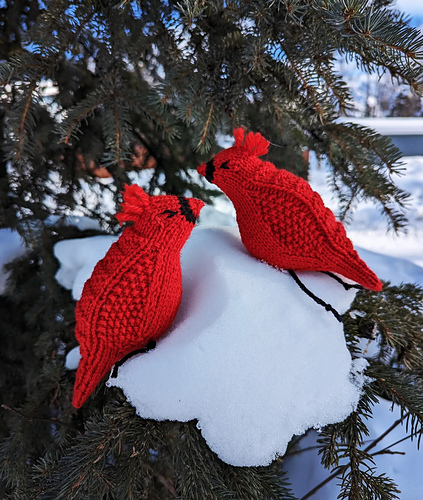 Ravelry: Knit Cardinal pattern by Alexandria Wenninger