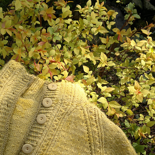 Ravelry: mirasol pattern by alfa knits