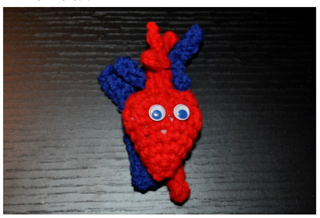 Ravelry: anatomical heart pattern by My Crafty Pursuits