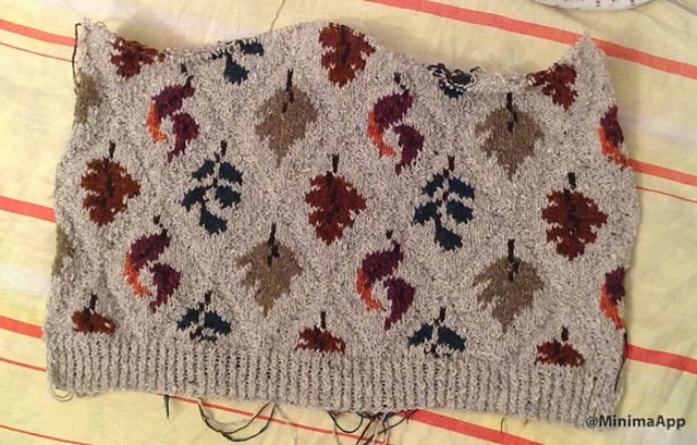Ravelry: alinamar's Leaf vest