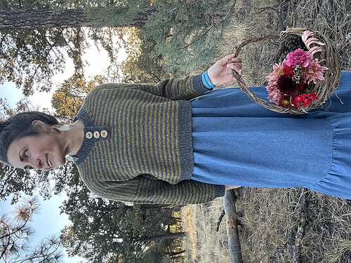 Ravelry: Highline Henley pattern by Tori Yu