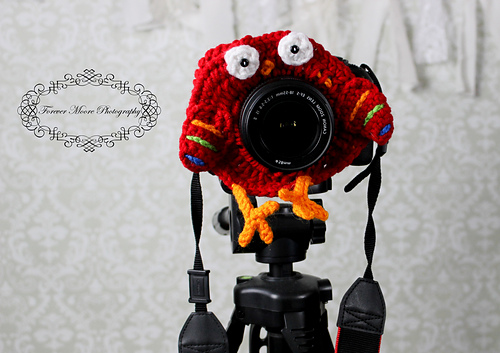 Ravelry: Parrot Camera Lens Buddy pattern by Allison Booker