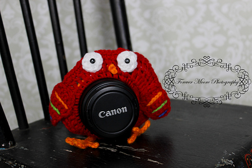 Ravelry: Parrot Camera Lens Buddy pattern by Allison Booker