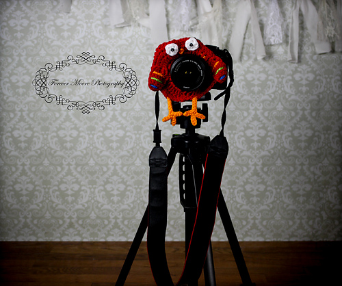 Ravelry: Parrot Camera Lens Buddy pattern by Allison Booker