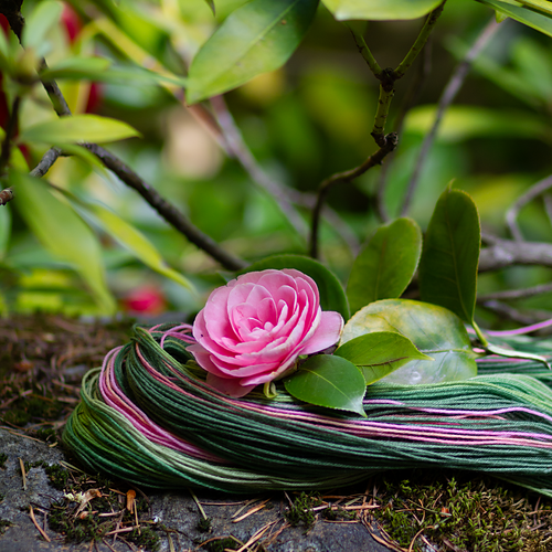 Ravelry: Dahlia Socks pattern by Andrea Rangel