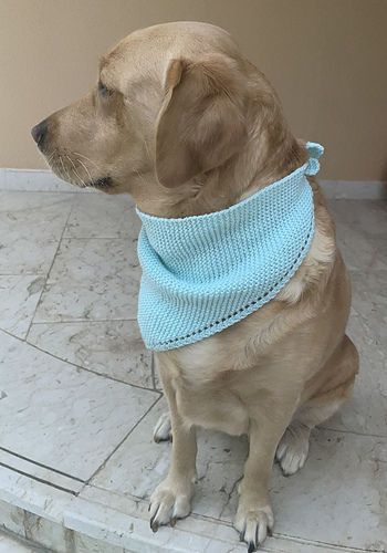 Ravelry: Cat & Dog Bandana pattern by Mollie May