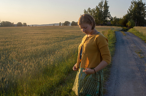 Ravelry: Nøttejakka pattern by Anne Tvedt