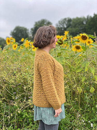 Ravelry: Chaotic Monday Cardigan pattern by Annelies Baes