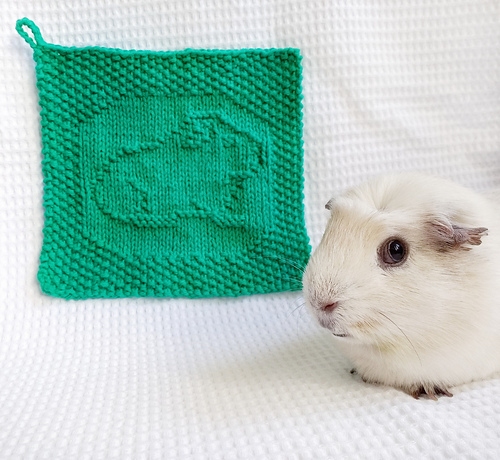 Ravelry: Self Cleaning Cavy pattern by AppraisingRaven