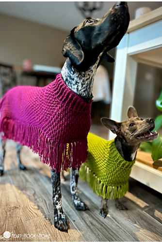 Ravelry: Dog Poncho pattern by Ashlea Schumaker