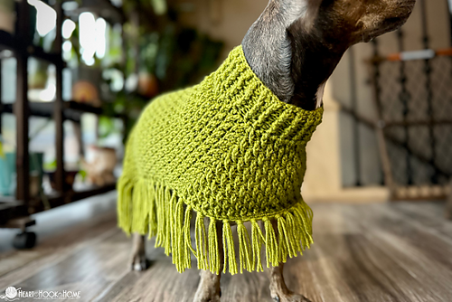 Ravelry: Dog Poncho pattern by Ashlea Schumaker