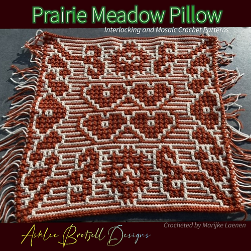 Ravelry: Prairie Meadow Pillow pattern by Ashlee Brotzell