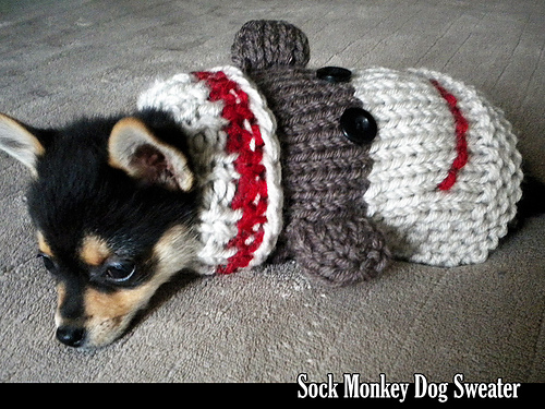 Ravelry: Sock Monkey Dog Sweater pattern by Aunt Janet's Designs