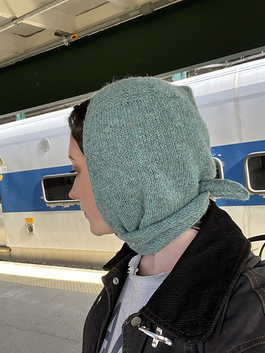 Ravelry: Paula's Scoodie pattern by Aver P