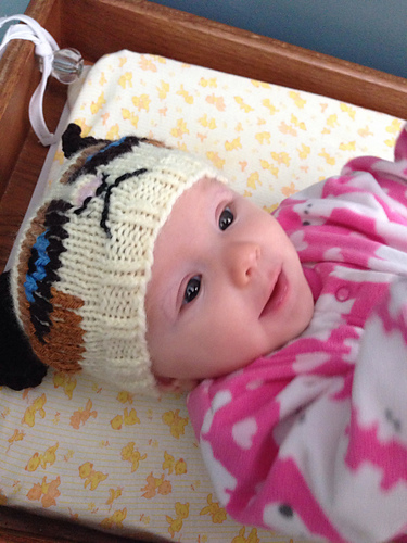 Ravelry: Grumpy Hat - Hat with Tardar Sauce, the Grumpy Cat's face ...