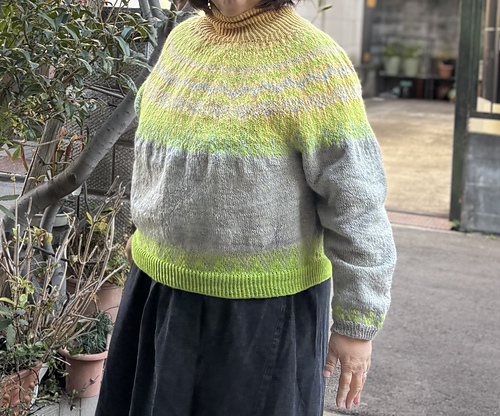 Ravelry: Xylem pattern by Anna Johanna