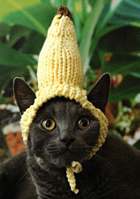 Ravelry: Banana Hat pattern by Sara Thomas