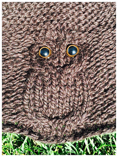 Ravelry: Owl Capelet Shawl pattern by Becky McKinnon