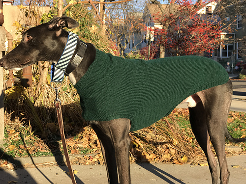 Ravelry: Stripey Greyhound Sweater pattern by Auntee Jen - Houndtees