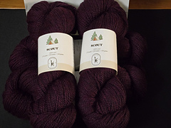 Ravelry: Kelbourne Woolens Scout