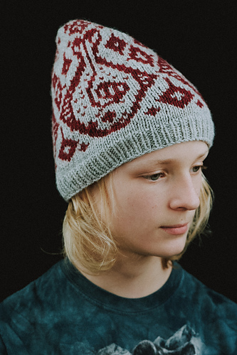 Made my Phish Phan Phriend a Halibut hat for Christmas! : r/knitting