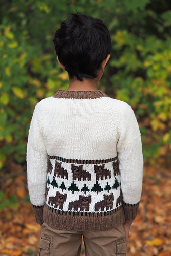 Ravelry: Brown Bear Brown Bear Sweater pattern by Bridget Pupillo