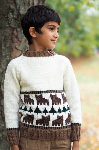 Ravelry: Brown Bear Brown Bear Sweater pattern by Bridget Pupillo