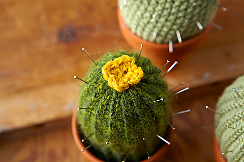 Ravelry: Woolly Cacti: One Pattern, Three Looks pattern by Lucille Randall