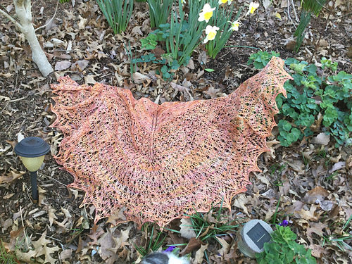 Ravelry: A Garland of Roses pattern by a catnach