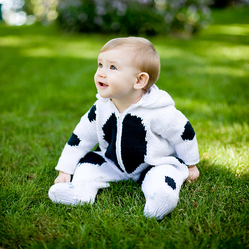 Ravelry: Baby Cow Jumper #818 pattern by Melissa Matthay