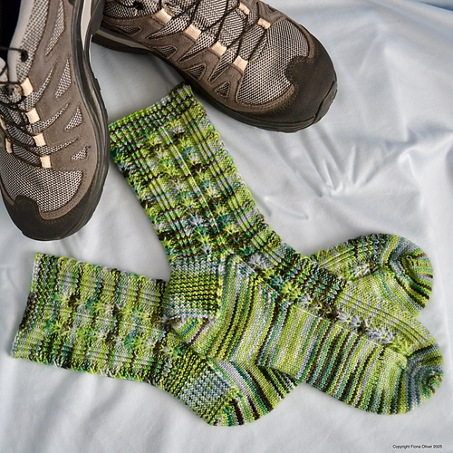 Ravelry: Tracks of Our Lives pattern by Fiona Oliver
