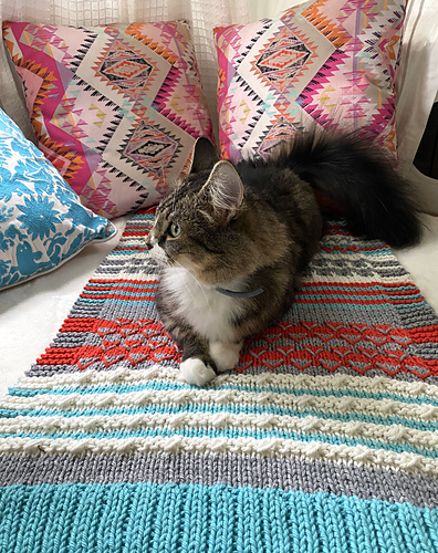 Ravelry: Sharon's Glamping 2 Blanket pattern by Casapinka