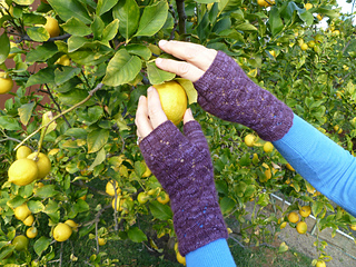 Ravelry: cashmerejunkie's February Frost Fingerless Gloves