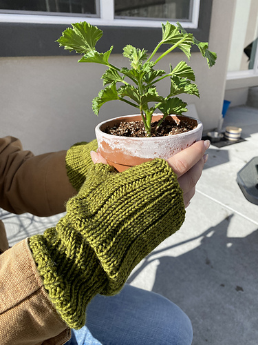 Ravelry: inside outside you decide pattern by Martha Wissing