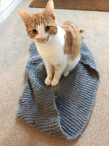 Ravelry: Timber Cowl pattern by Kelly McClure