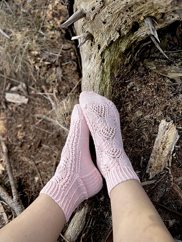 Ravelry: Wild Roses pattern by Teresa Runnett