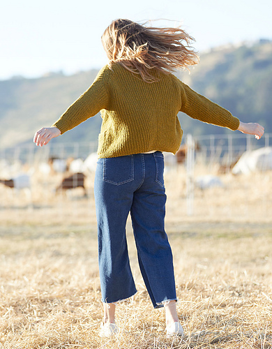 Ravelry: Sarah pattern by Julie Weisenberger