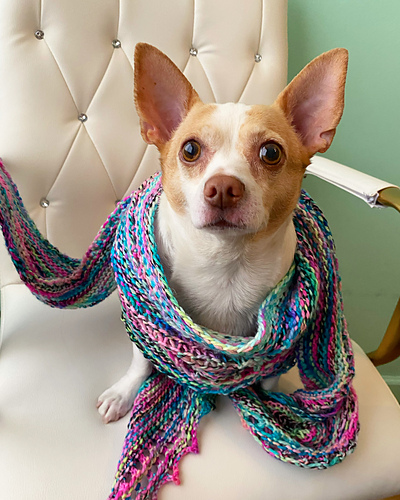 Ravelry: Zany Zebra pattern by Chic and Regal Knits