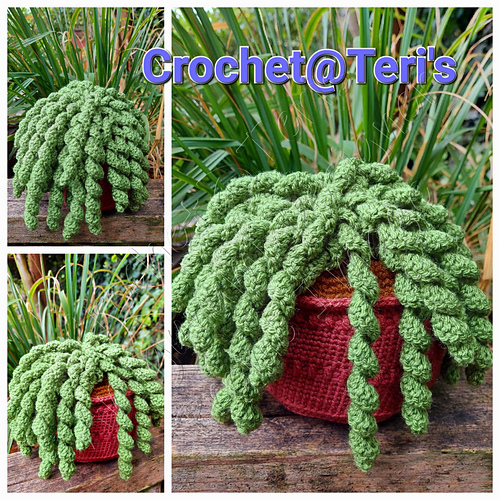Ravelry: Fern Hanging Plant pattern by Crochet at Teri's