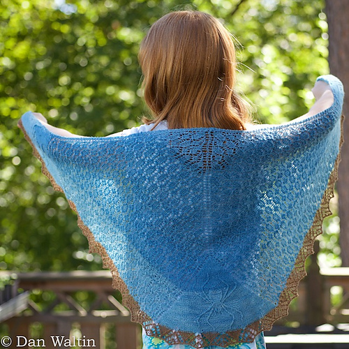 Ravelry: friendly neighbourhood spider-shawl pattern by Lotta Groeger
