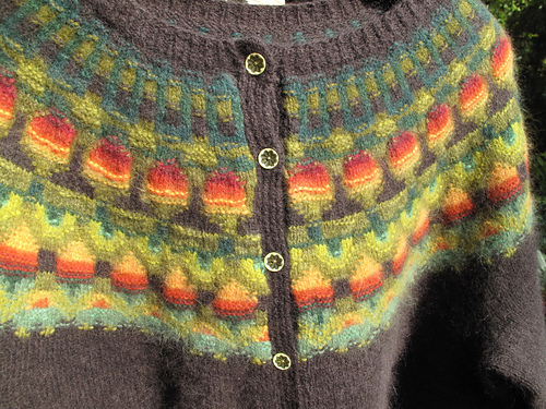 Ravelry: The Wild Apple Yoke Cardigan POC pattern by Kerstin Olsson