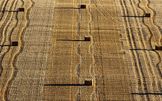 Ravelry: FREE Australian Paddock mosaic square pattern by Cyndie Birdsong