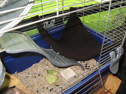 Ravelry: Rat Hammock pattern by Ashley Britt