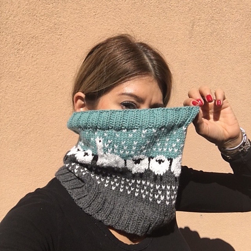 First time doing colorwork! A gift for my sheep loving spouse. : r/knitting