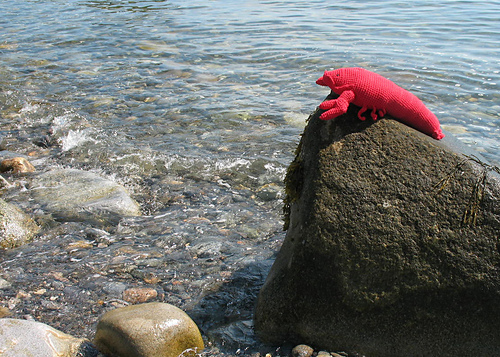 Ravelry: Lobster pattern by Lois Landrith