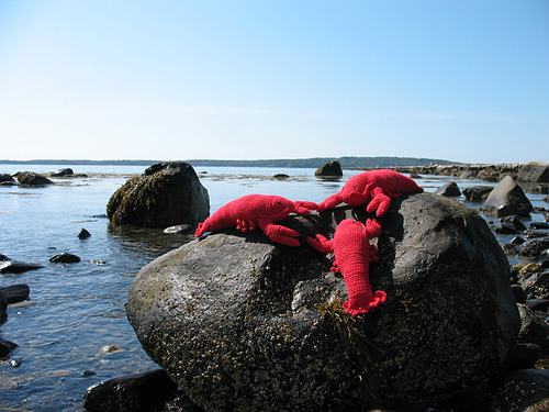 Ravelry: Lobster pattern by Lois Landrith